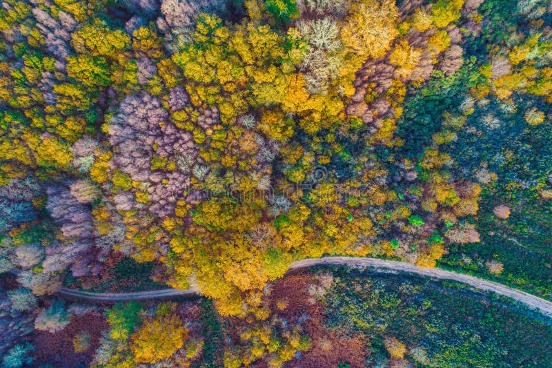 Mountain with a Pine and Deciduous Forest and a Dirt Runway, Aerial Top ...