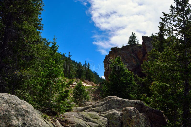 Mountain Pine Trees and Large Rocks Stock Image - Image of mountainside ...