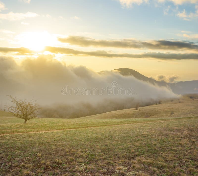 Mountain Plateau in Dense Mist at the Sunset Stock Image - Image of ...