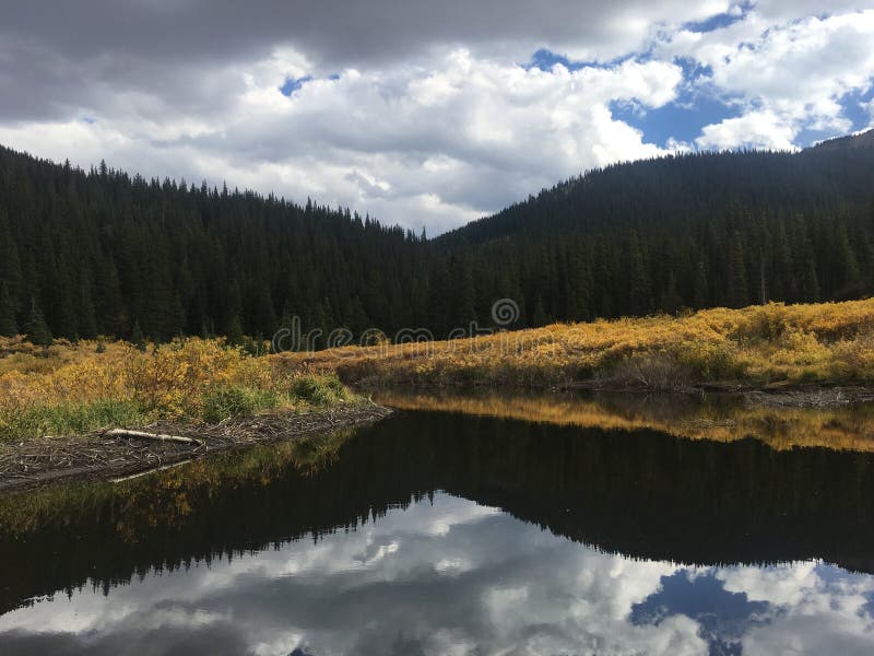 Mountain Pond Reflection stock image. Image of murror - 320347077