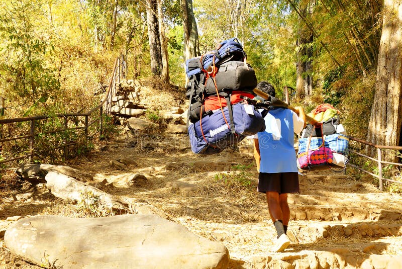 Mountain Porter Carrying Heavy Luggage on Footpath Stock Photo - Image ...