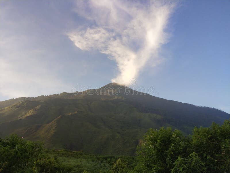 Mountain pundak java stock image. Image of meadow, java - 224948529