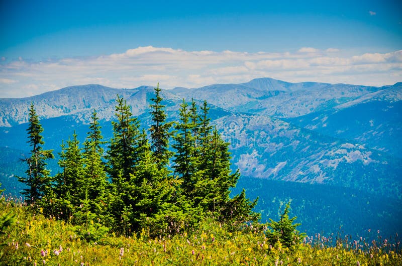 Mountain Range. Big High Hills in Green Stock Photo - Image of forest ...