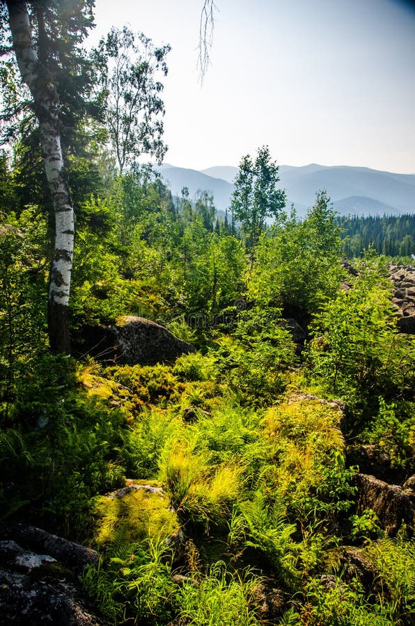 Mountain Range. Big High Hills in Green Stock Image - Image of forest ...