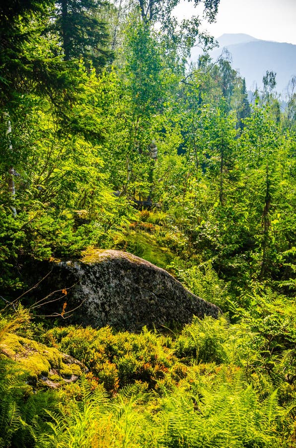 Mountain Range. Big High Hills in Green Stock Photo - Image of light ...