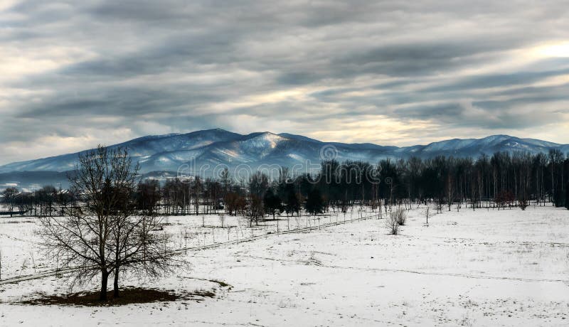 Mountain Range on a Cloudy Winter Day. Stock Image - Image of wilderness, mountain: 239740893