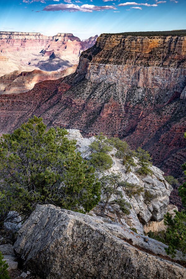 Mountain Range in Colorado, with a Cliff Covered by Vegetation, with ...