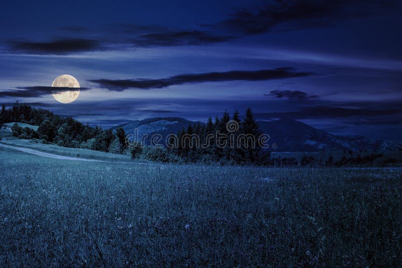 Mountain Range with Coniferous Forest at Night Stock Photo - Image of ...