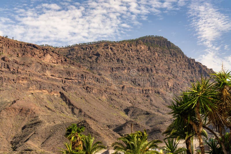 A Mountain Range with a Few Palm Trees in the Foreground Stock Image ...