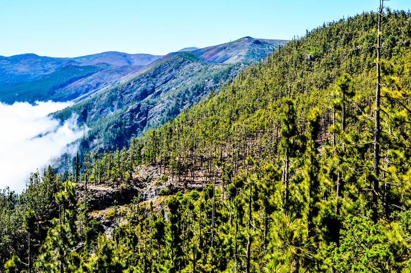 A Mountain Range with a Forest in the Foreground Stock Image - Image of ...