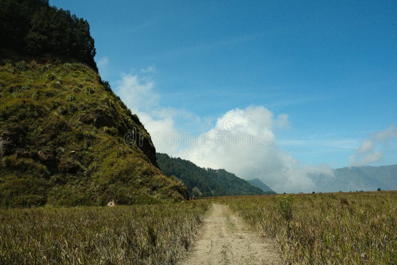 A Mountain Range with a Road Leading To it Stock Image - Image of bush ...