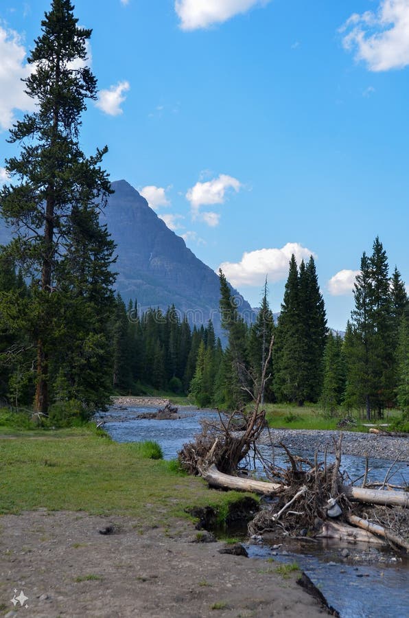 Mountain Range View with River in Yellowstone National Park Stock Photo ...