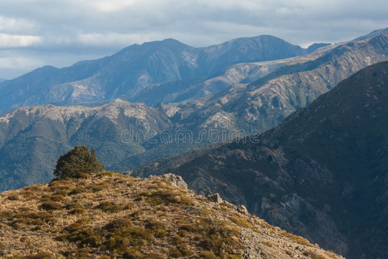 Lewis Pass stock image. Image of green, plains, scenic - 54637143