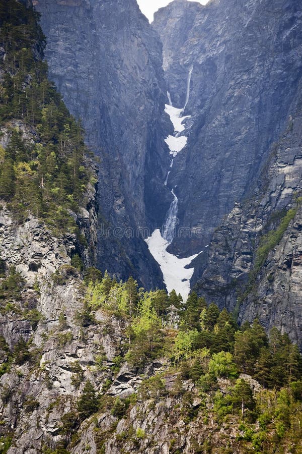 Mountain ravine stock image. Image of mountains, conifer - 66643515