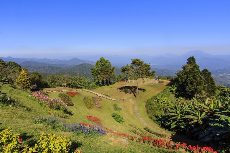 Mountain Resort with Flower Garden Stock Photo - Image of plant, asian ...