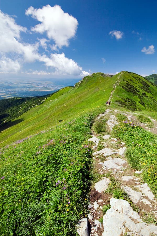 Way through the Sunrise on Mountain Grassy Ridge Stock Image - Image of ...