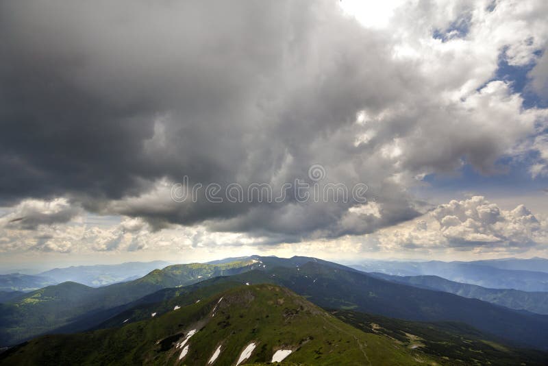 Mountain Spring Panorama with Blooming Rhododendron Rue Flowers and ...