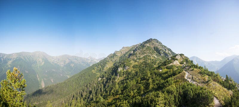 Mountain ridge with trees stock image. Image of panorama - 26160107