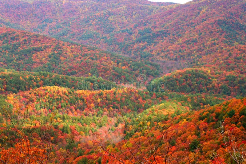 Mountain Ridges stock photo. Image of leaves, colorful - 5050910