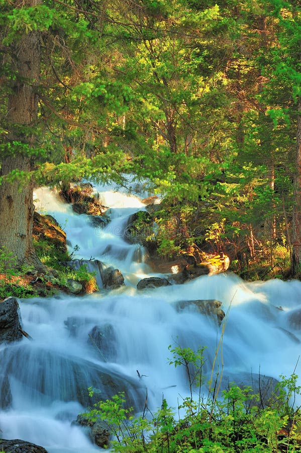 The mountain river stock image. Image of horizontal, lush - 23525147