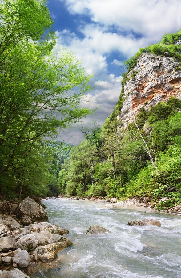 Landscape with a Mountain River Stock Image - Image of river, outdoor ...