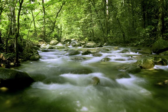 Mountain river stock photo. Image of green, drop, destination - 3414510