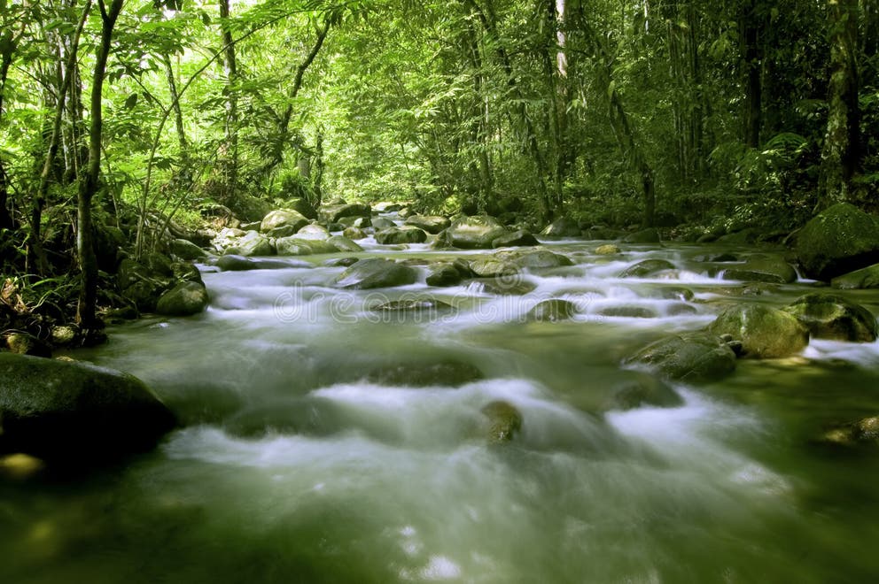Mountain river stock photo. Image of green, drop, destination - 3414510