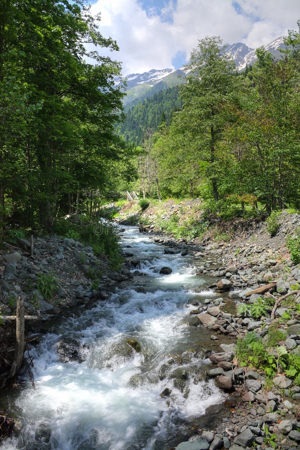Mountain river stock photo. Image of valley, relaxation - 5715714