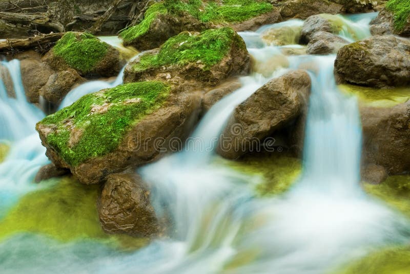 Mountain river stock photo. Image of spring, quiet, forest - 9114452