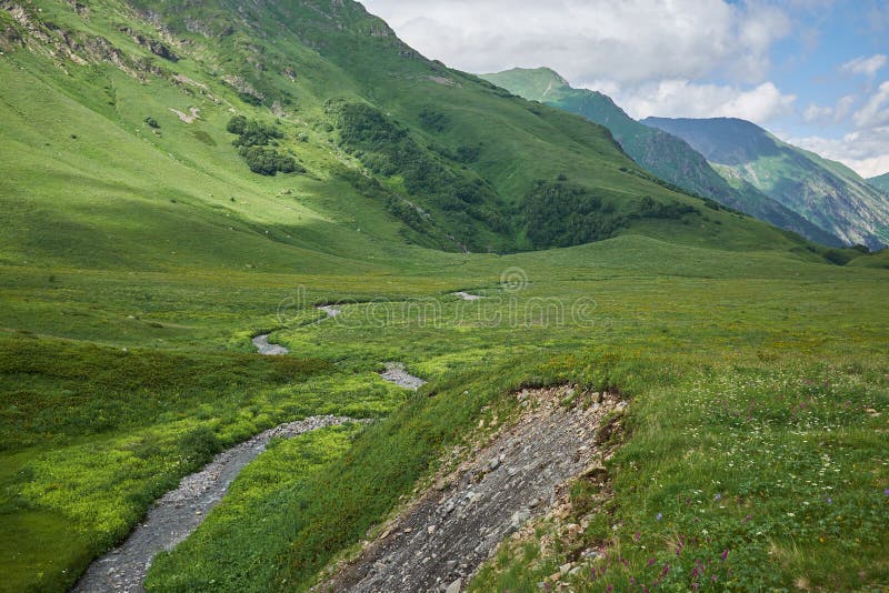 Mountain River among the Alpine Fields Stock Photo - Image of fields ...