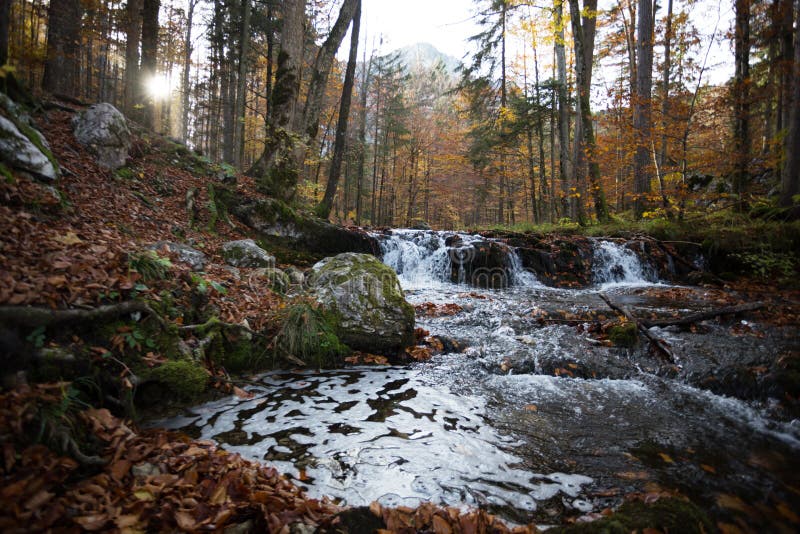 Mountain river source stock photo. Image of source, wilderness - 7651026