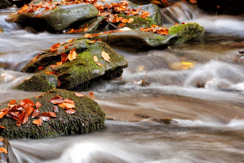 Mountain River in the Autumn Forest Stock Image - Image of landscape ...