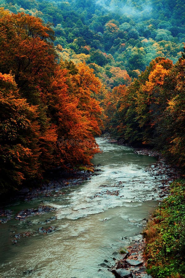 Mountain River Under the Mountain Against the Background of Mountains ...