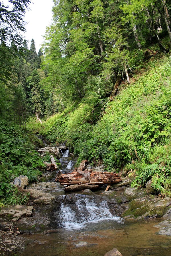 Mountain river stock image. Image of nature, russia - 100627287