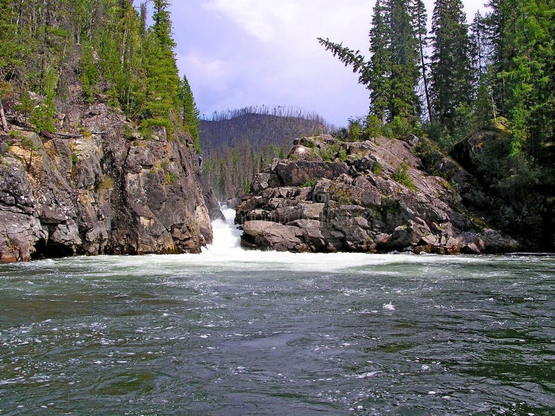 Mountain river stock image. Image of trees, beautiful - 66163673