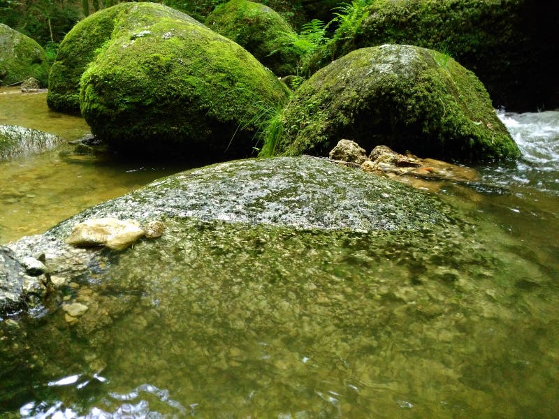 Mountain River with Boulders and Stones Stock Photo - Image of grass ...