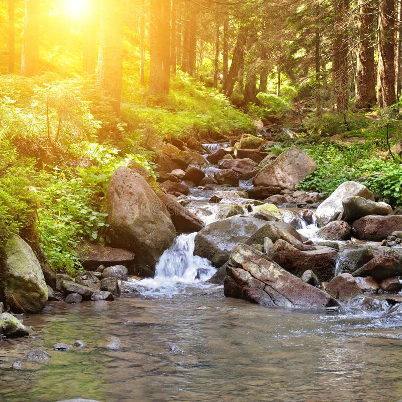 Mountain River and Bright Sun Stock Image - Image of outdoor, rock ...