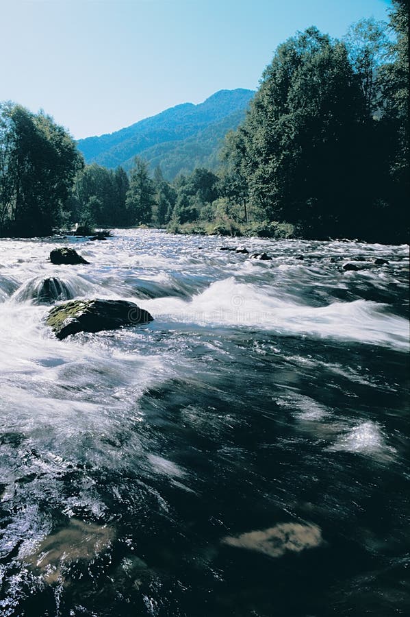Mountain River with Clean Water. Stock Photo - Image of pure, green ...