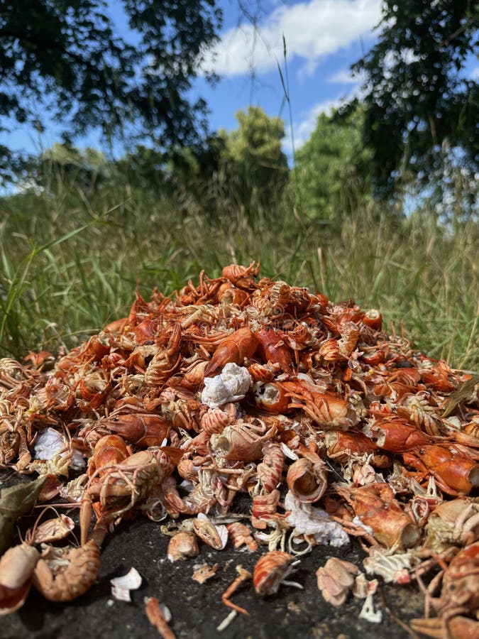 Waste Crustacean Shells Stock Photos - Free & Royalty-Free Stock Photos ...