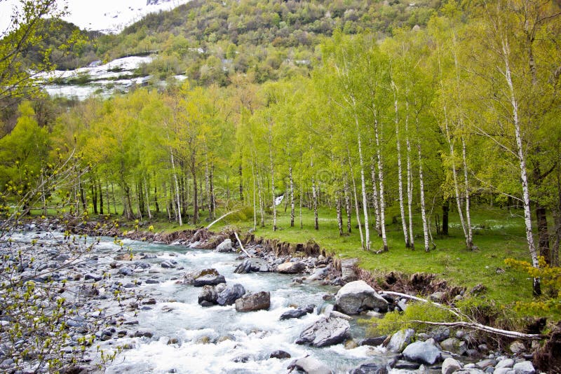 Mountain River in Early Spring Stock Image - Image of freshness, jungle ...
