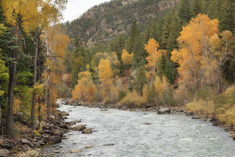 River in the Rocky Mountains Stock Photo - Image of america, autumn ...