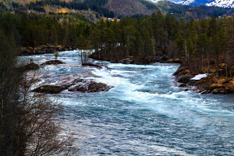 The Mountain River, Fjord and Forest, Norway, North Stock Photo - Image ...