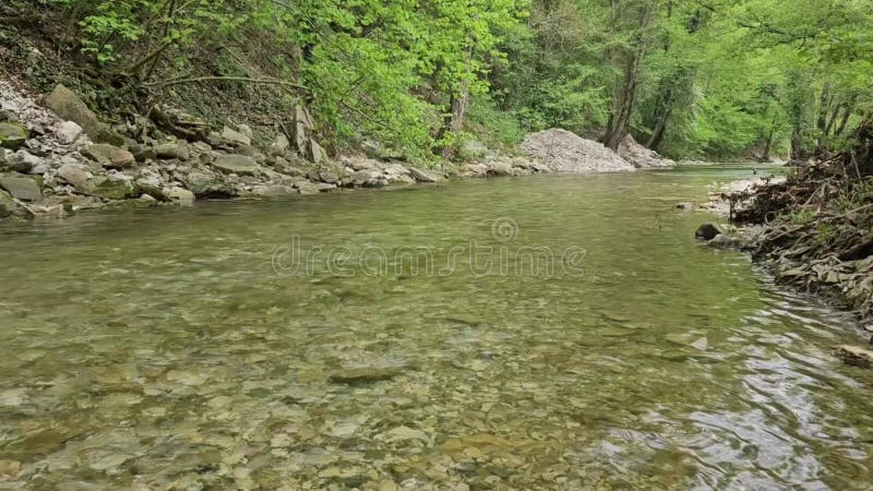 Mountain River Flowing through Forest Spring Time Sun Light Spots ...