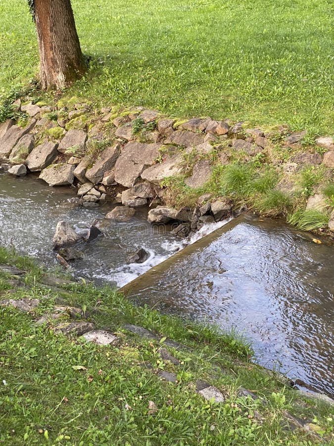 Mountain River Flowing through the Park among Greenery and Trees Stock ...