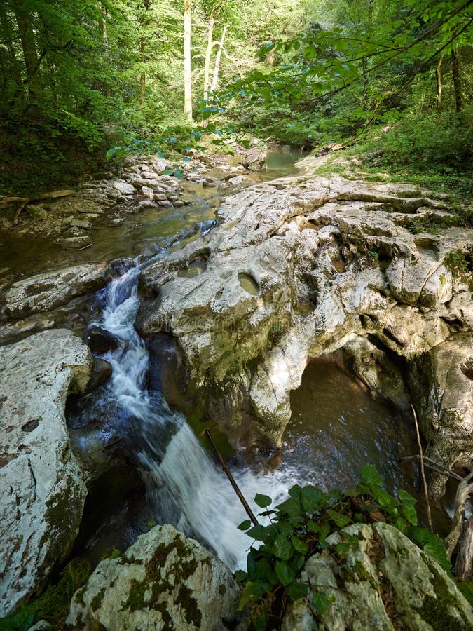 The Mountain River Flows through the Cliffs into the Gorges with Thick ...