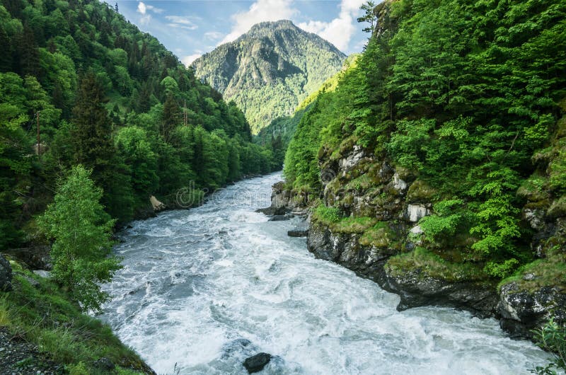 A Mountain River Flows between the Woods of Rocks. Stock Image - Image ...