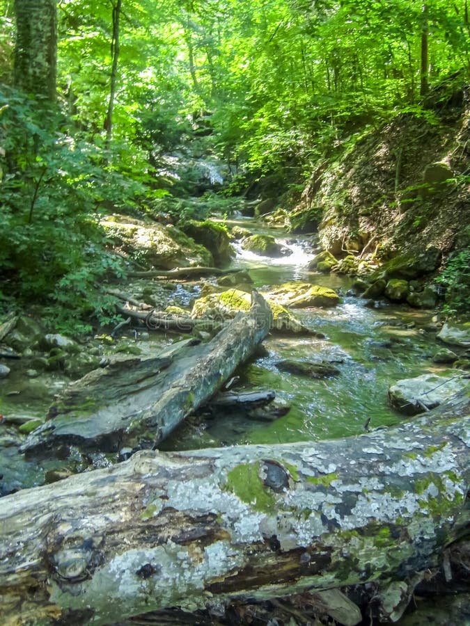 Mountain River. but the Mountain Flows a River among the Stones and ...