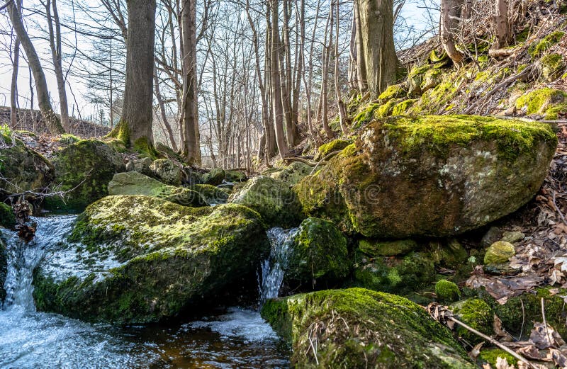 Mountain River Flows among Stones and Rocks in a Mountain Forest Stock ...