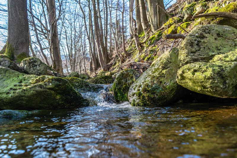Mountain River Flows among Stones and Rocks in a Mountain Forest Stock ...