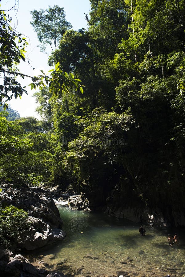 Mountain River in the Forest, Amazon Jungle Peru Stock Photo - Image of ...